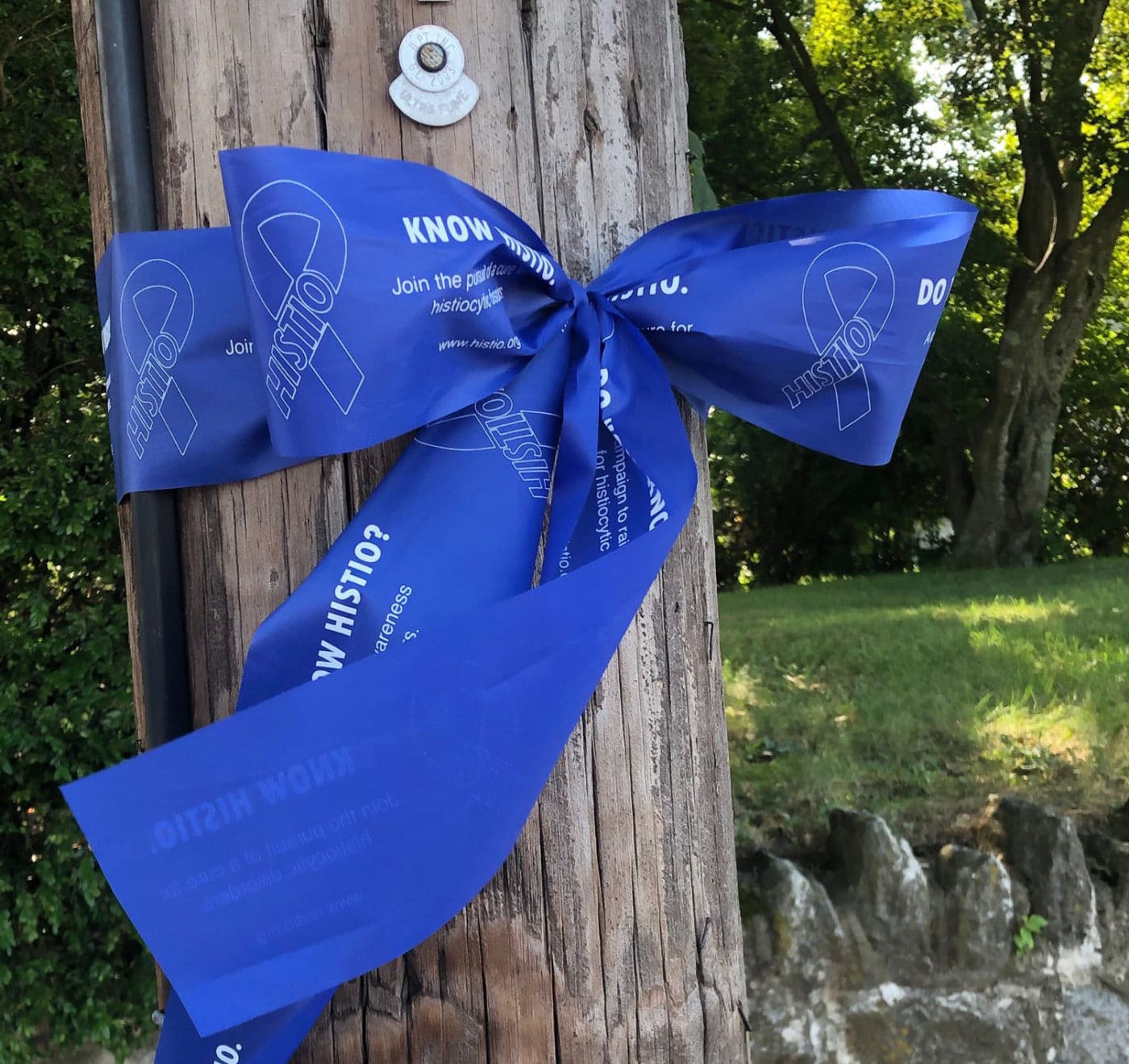 Ribbon | Histiocytosis Association