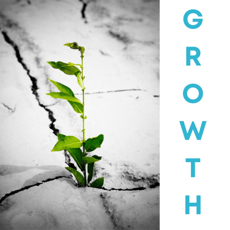 Growing From the Pain: Lessons on Post-Traumatic Growth | Histiocytosis ...